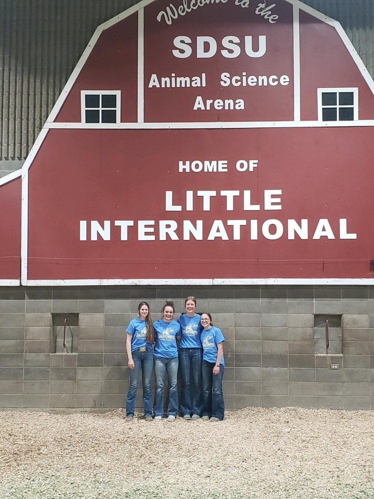 Live Feed | Killdeer Public School